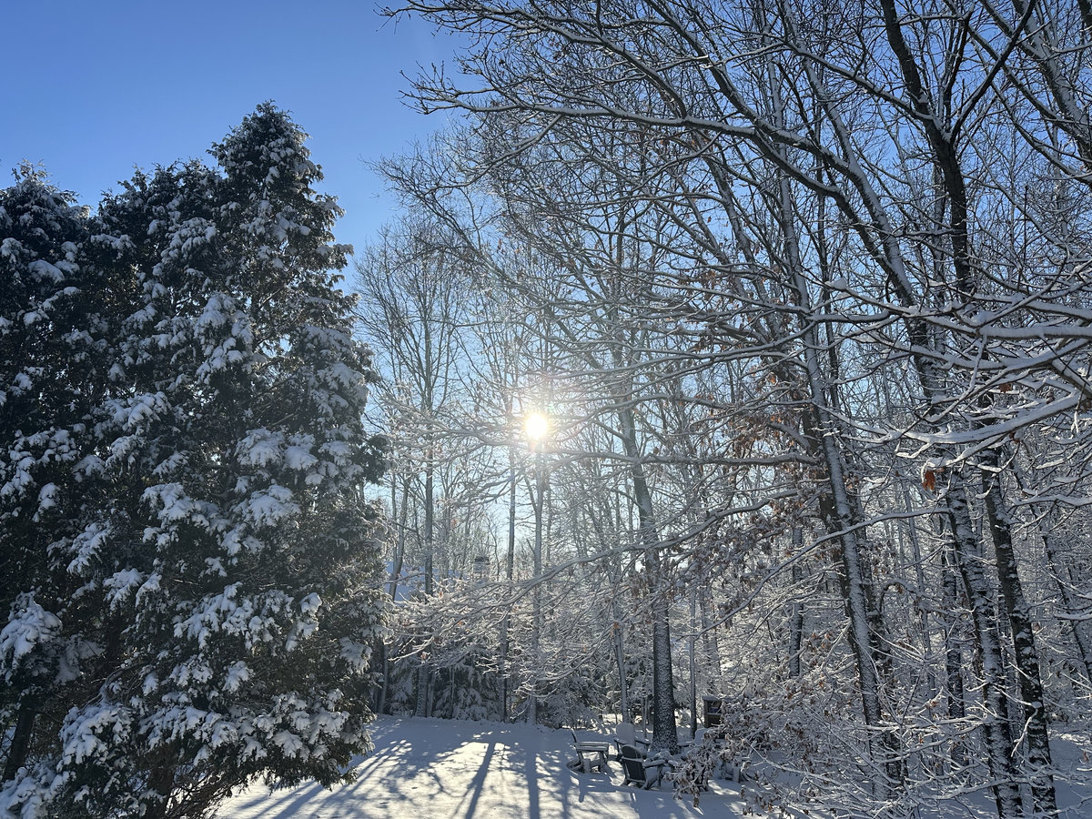 Midnight Christmas Eve | Mike T Lembke Band
