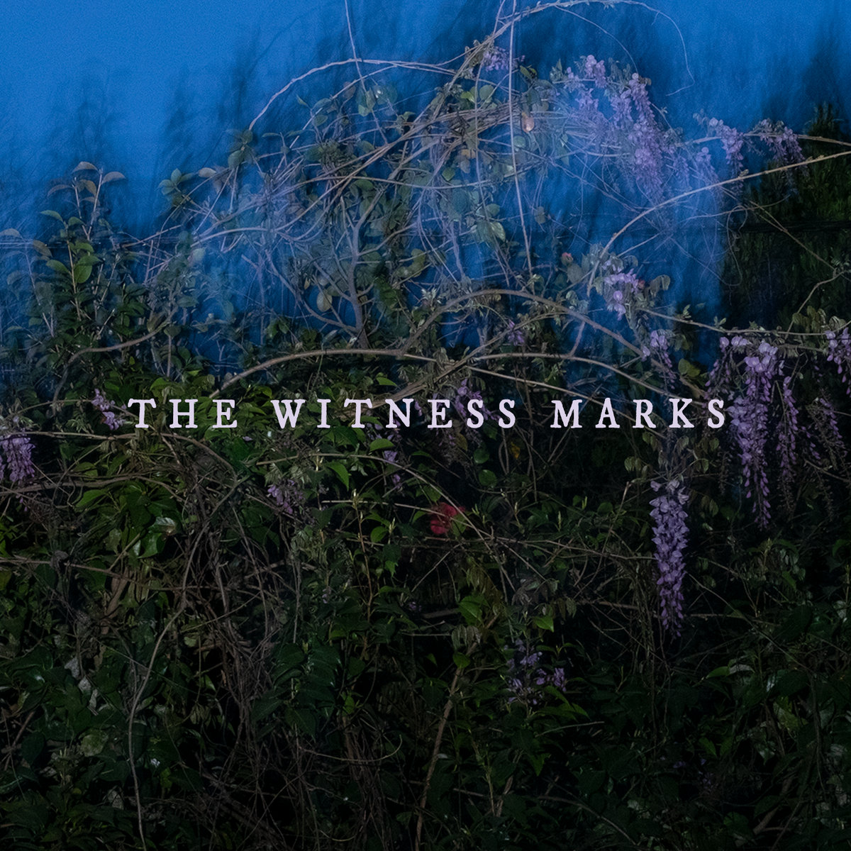 The Witness Marks | The Witness Marks