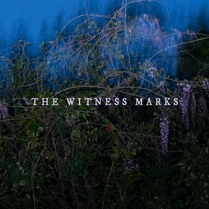 The Witness Marks | The Witness Marks