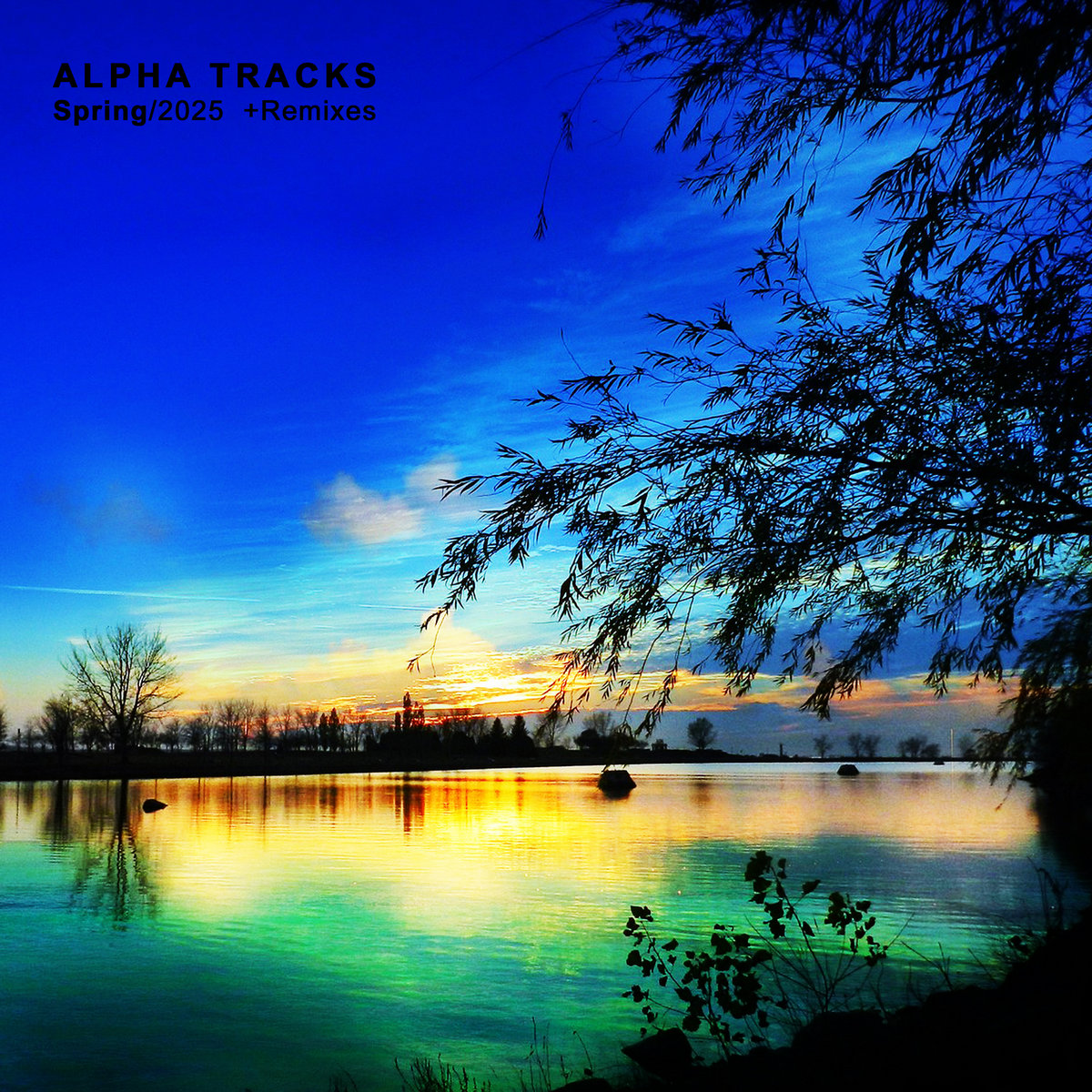 Spring/2025 | Alpha Tracks