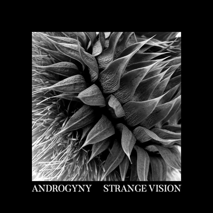 Strange Vision | Androgyny