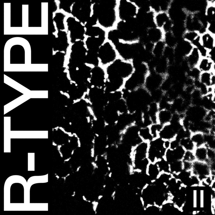 ANTIDOTE (AMORTAL RMX) | HEALTH