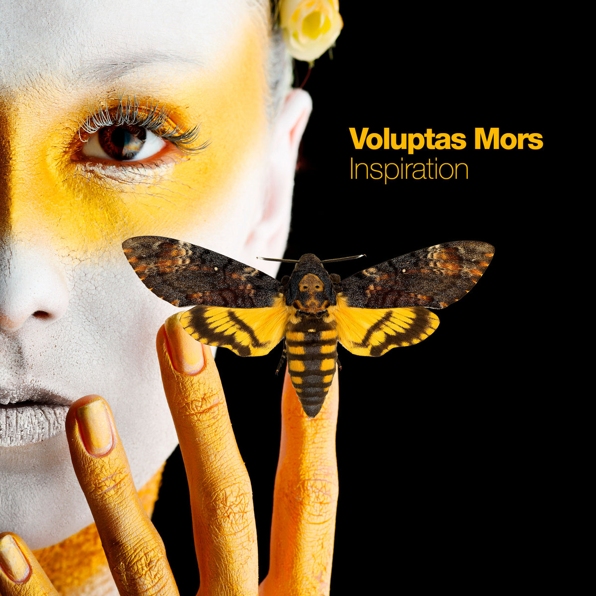 Inspiration | Voluptas Mors