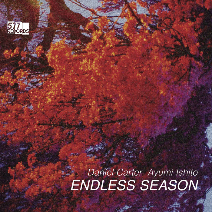 Endless Season | Daniel Carter, Ayumi Ishito | Daniel Carter