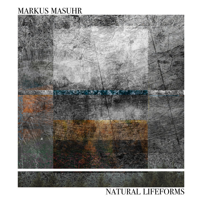 Natural Lifeforms | Markus Masuhr | insectorama