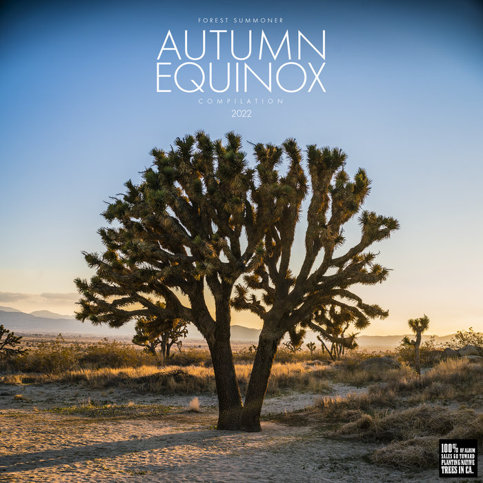 Autumn Equinox Compilation 2022 | Forest Summoner