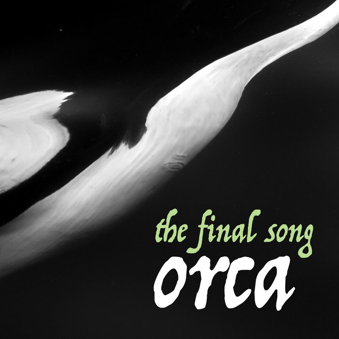 Orca | The Final Song