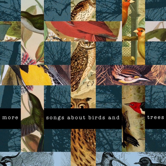 More Songs About Birds & Trees | Various Artists | Bob Hillman