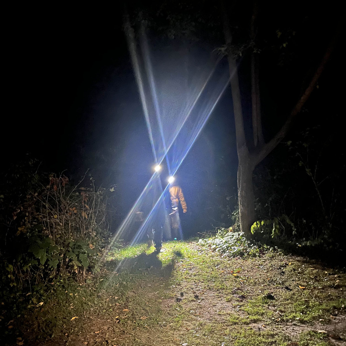 Tumbling up a ladder | Shelter Sound | Next Year's Snow