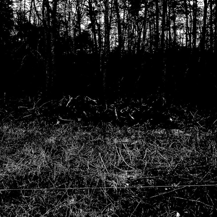 Teeth | Hull House | Breaching Static