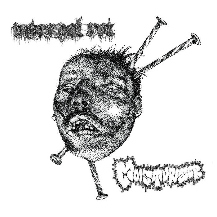 Moisturizer / Internal Rot - Split EP (Undesirable-030) | Anthems of ...