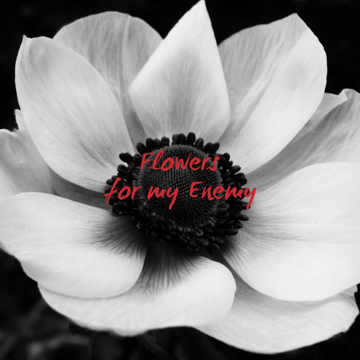 Flowers for my Enemy | The Hunt Saboteurs