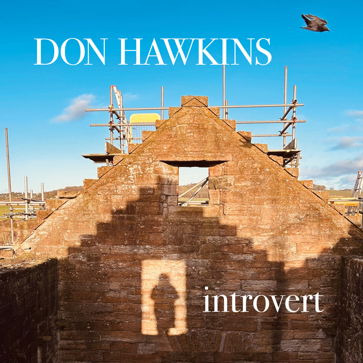 Introvert | Don Hawkins