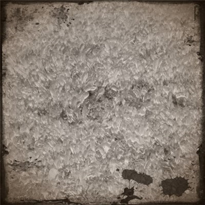 Frost | Jesse Savka