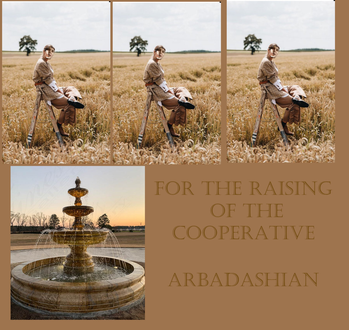 For The Raising of the Cooperative | Heather Mulloy | Arbadashian