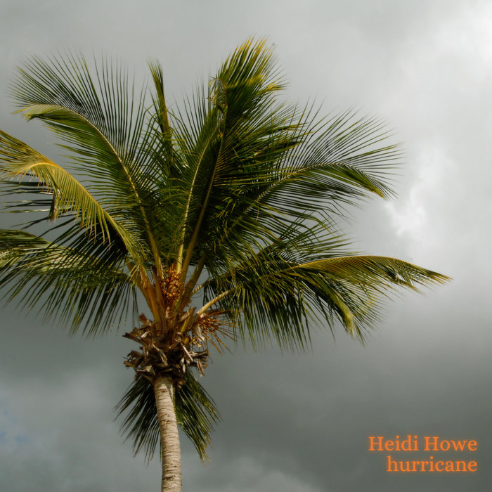 Hurricane | Heidi Howe