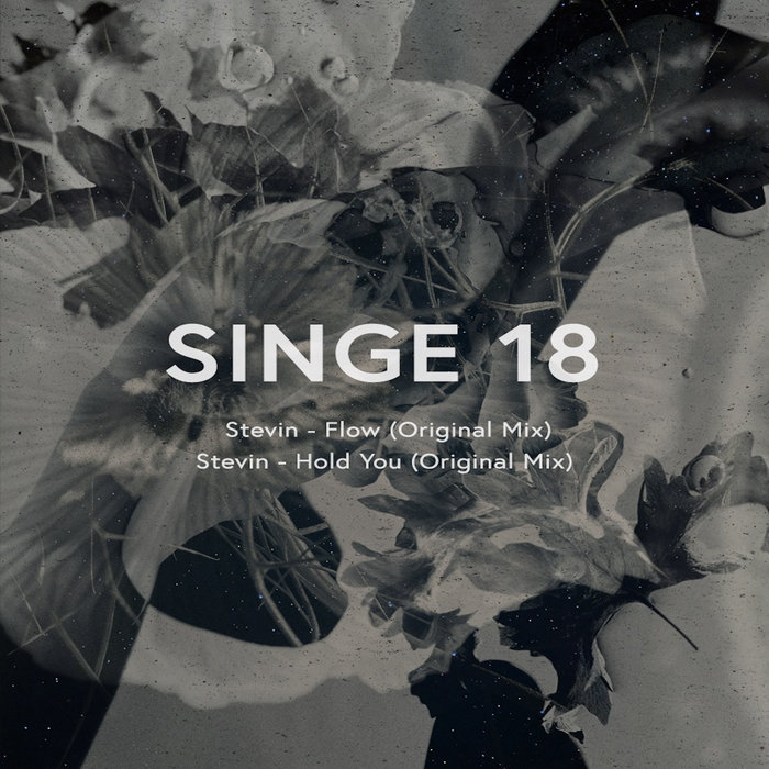Flow | Stevin | Steven Fine / Stevin