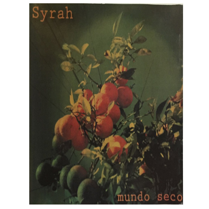 Mundo Seco | Syrah