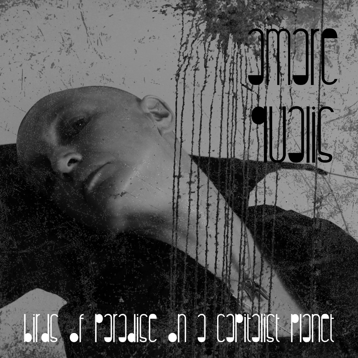 amare qualis - birds of paradise on a capitalist planet | qualia-c