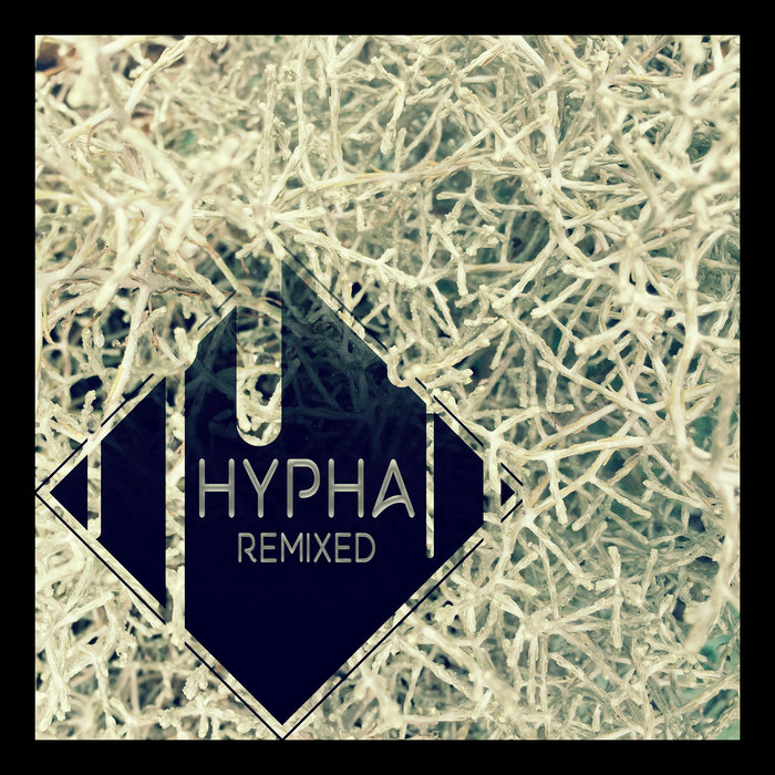 Hypha Remixed | Hypha