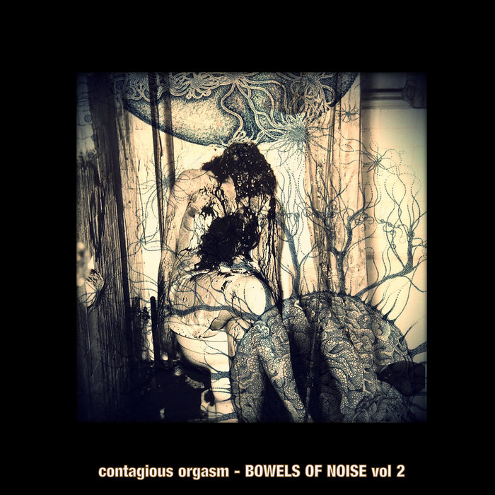 BOWELS OF NOISE vol 2 | contagious orgasm | sssm