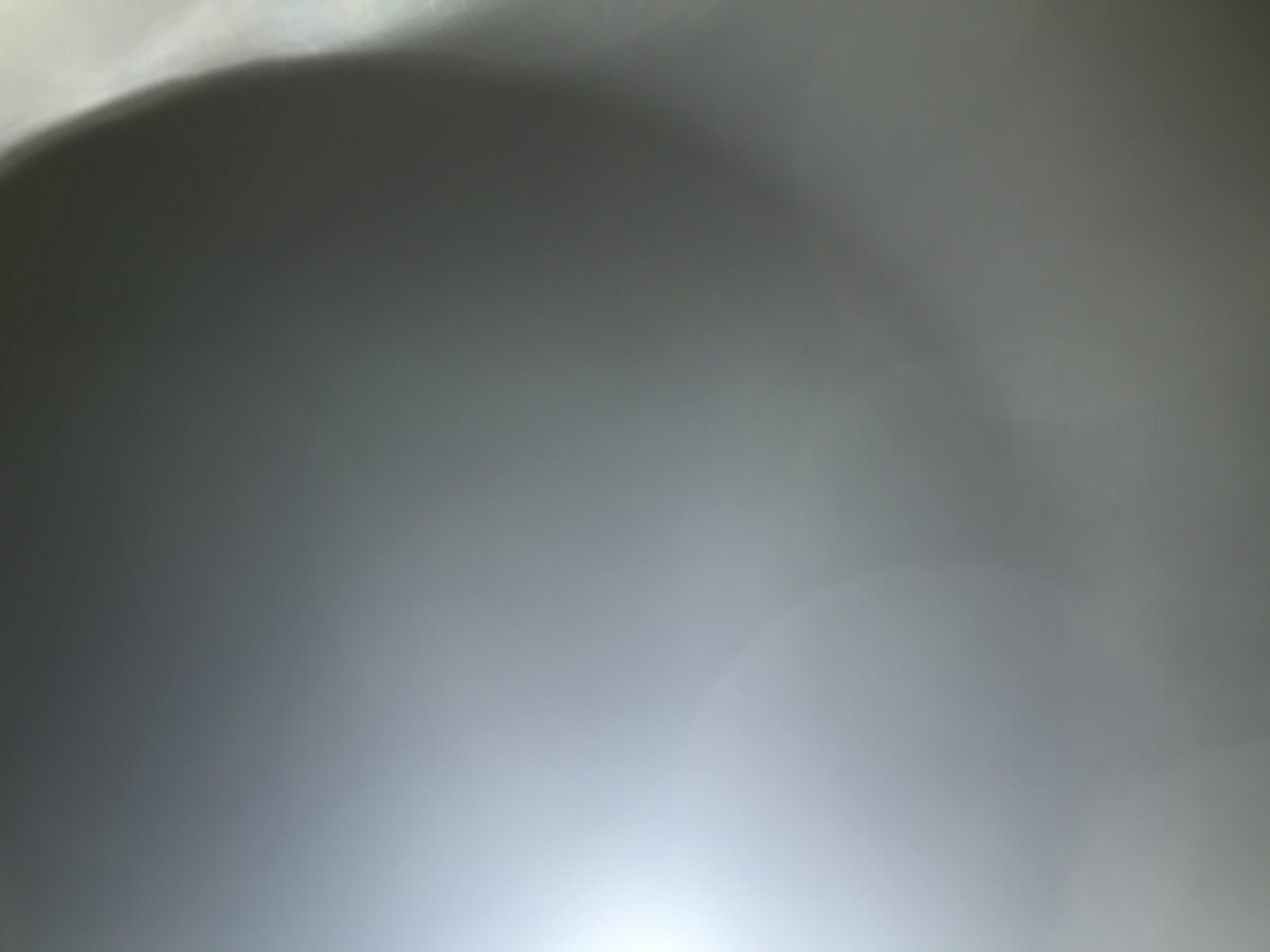 Companions | Jon Ruddick