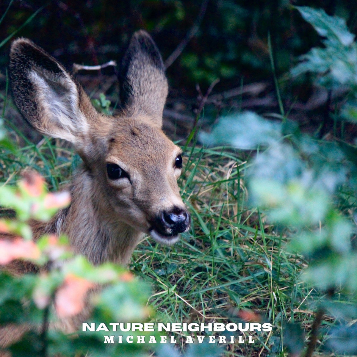 Nature Neighbours | Michael Averill