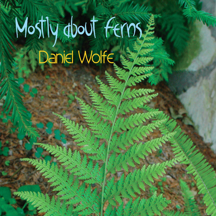 Mostly About Ferns | Daniel Wolfe