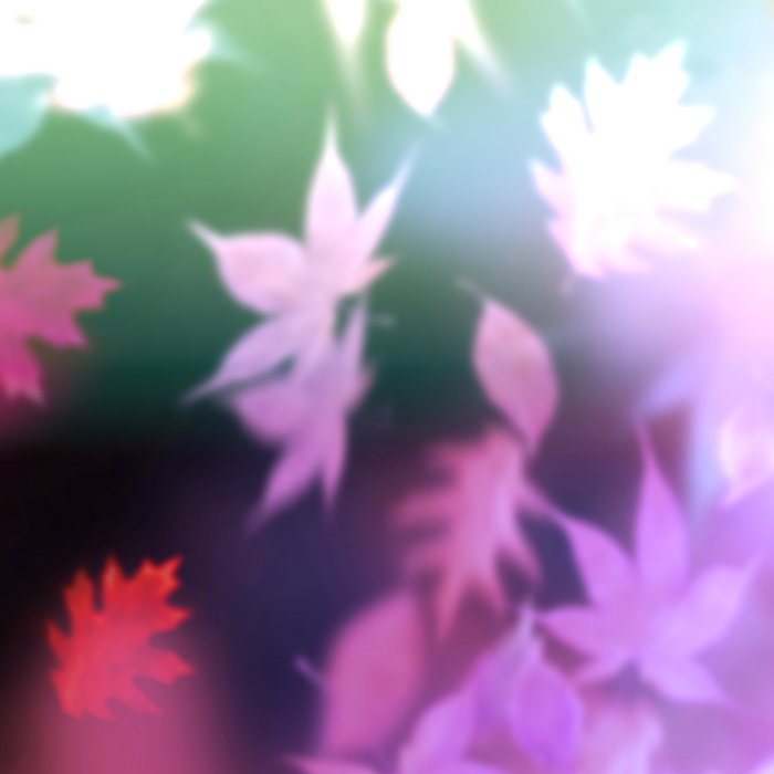 Absolved | Glenn Natale | bigo & twigetti