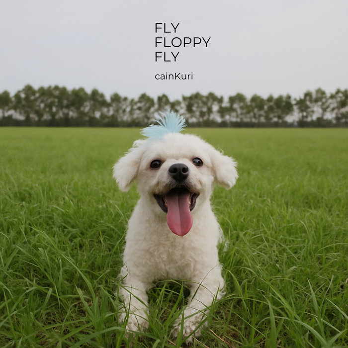 Fly Floppy Fly | cainKuri