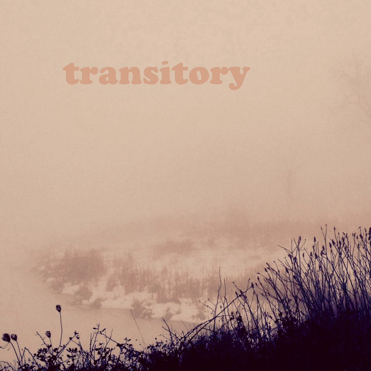 transitory | emily