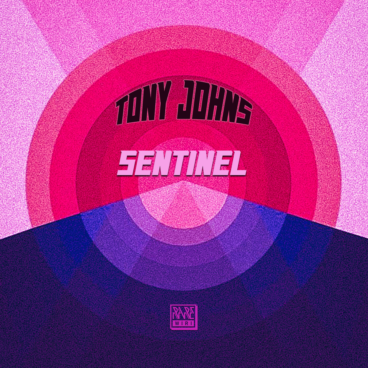 Sentinel | Tony Johns | Rare Wiri Records