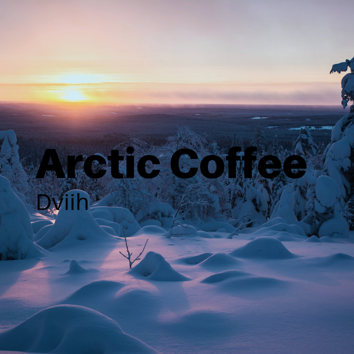 Arctic Coffee | Dviih