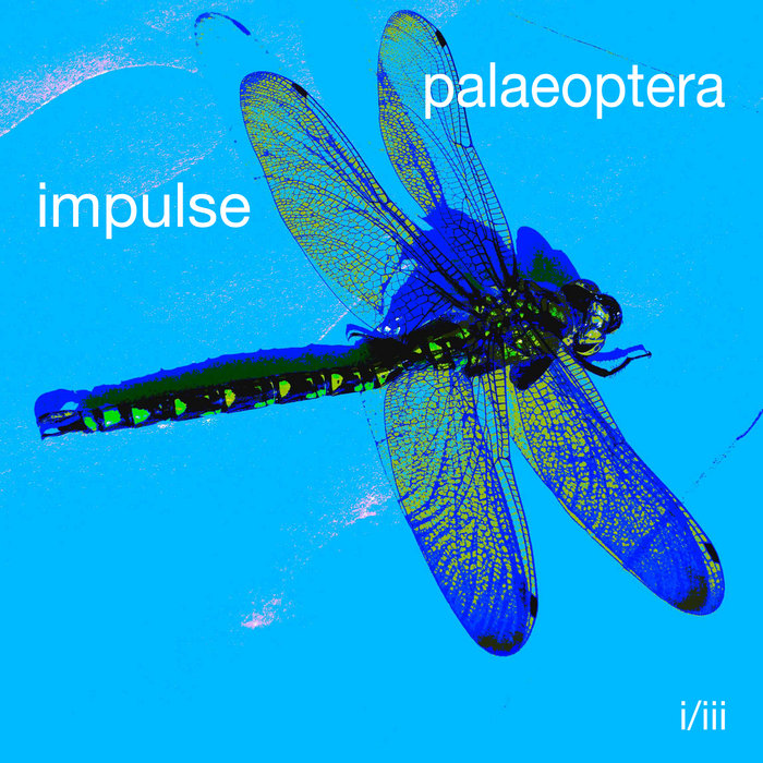 palaeoptera i/iii | Impulse