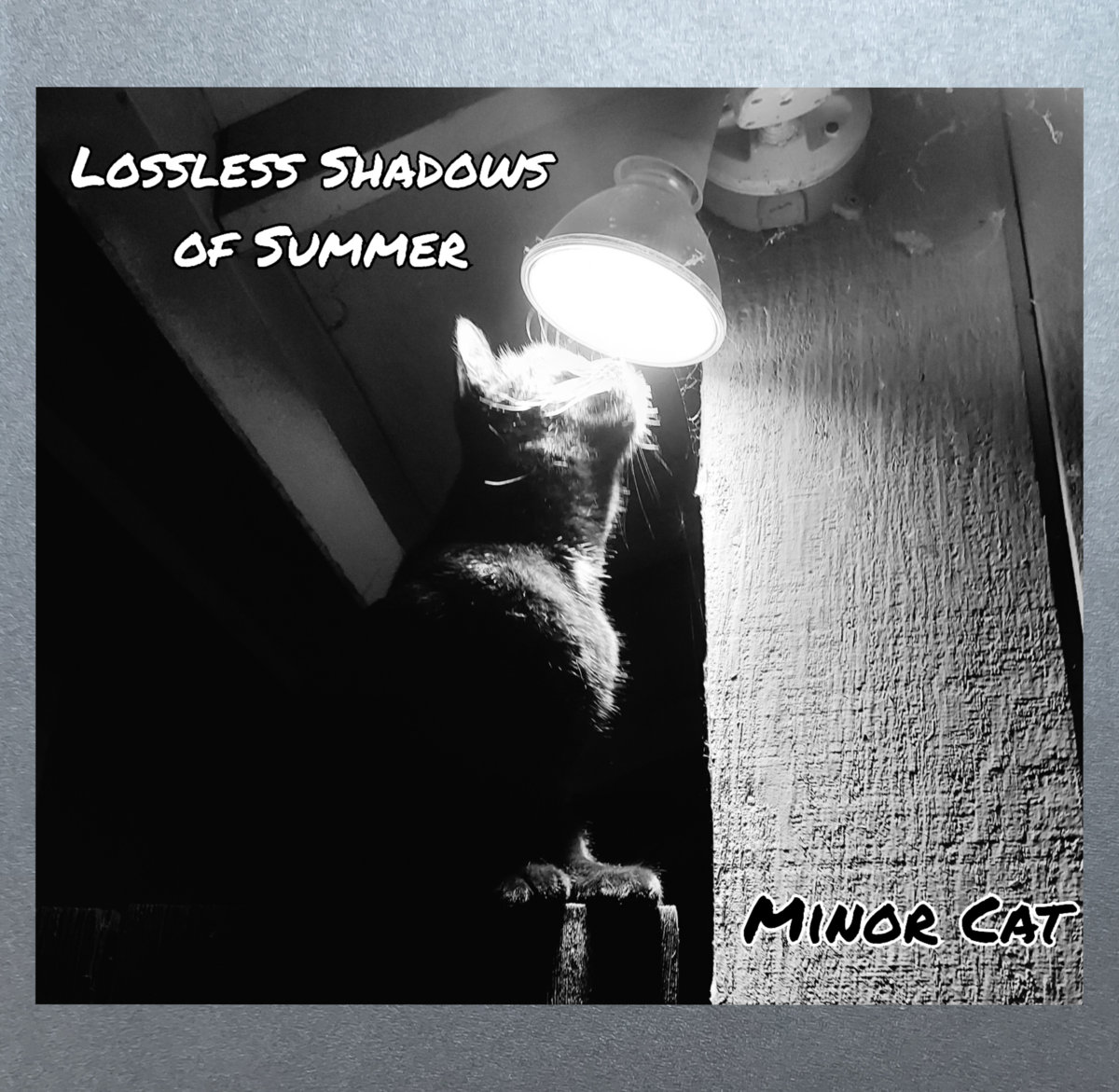 Lossless Shadows of Summer | Minor Cat