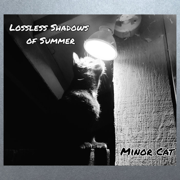 Lossless Shadows of Summer | Minor Cat