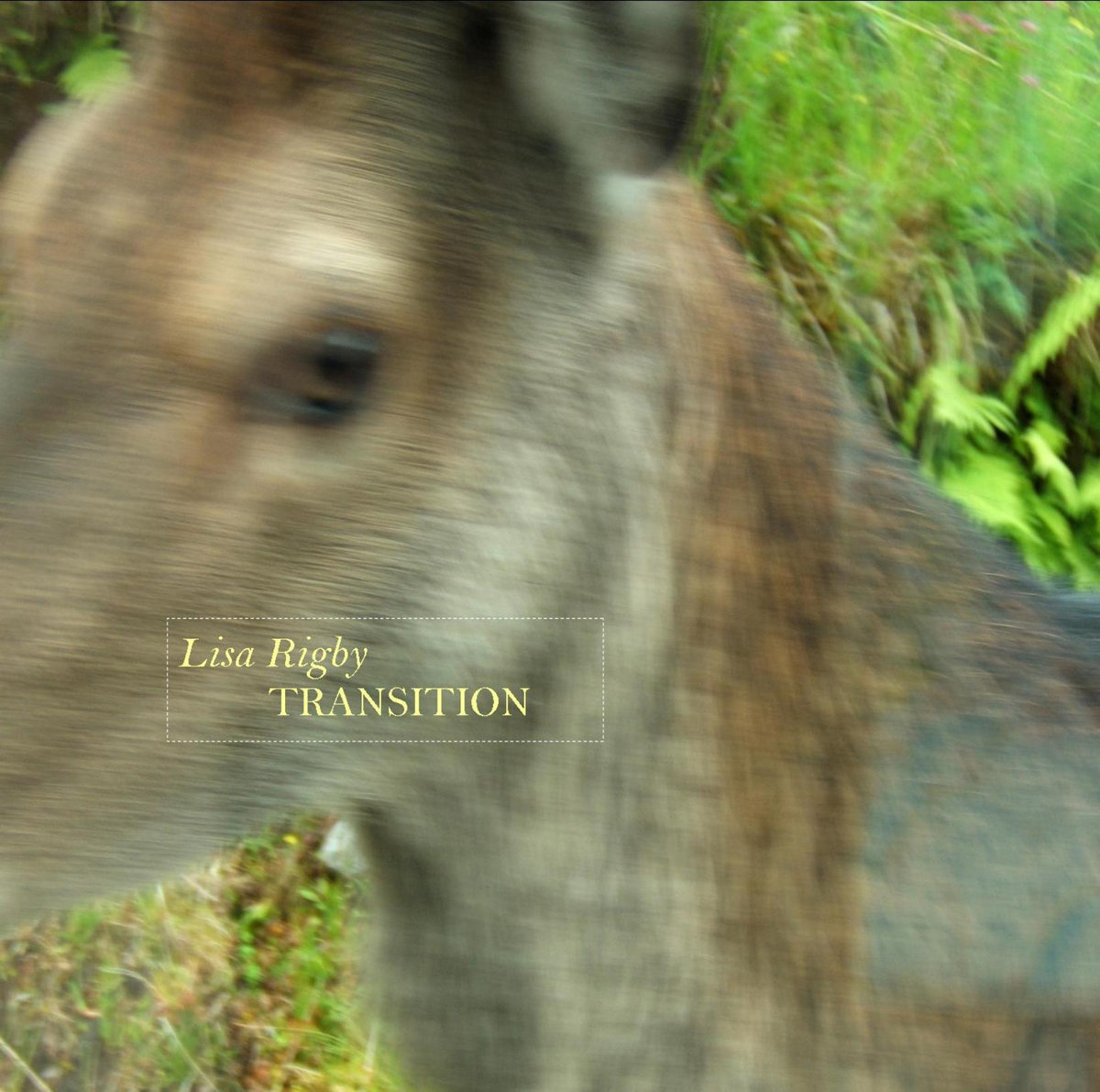 Transition | Lisa Rigby