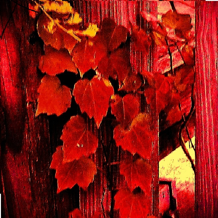 power in the blood (goth version) | leper | Leper