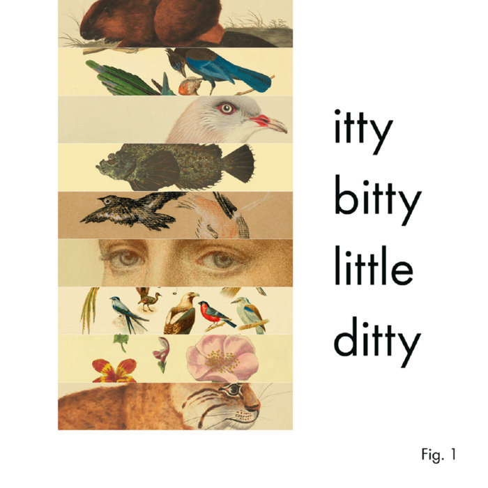 Itty Bitty Little Ditty Volume 1 | Itty Bitty Little Ditty