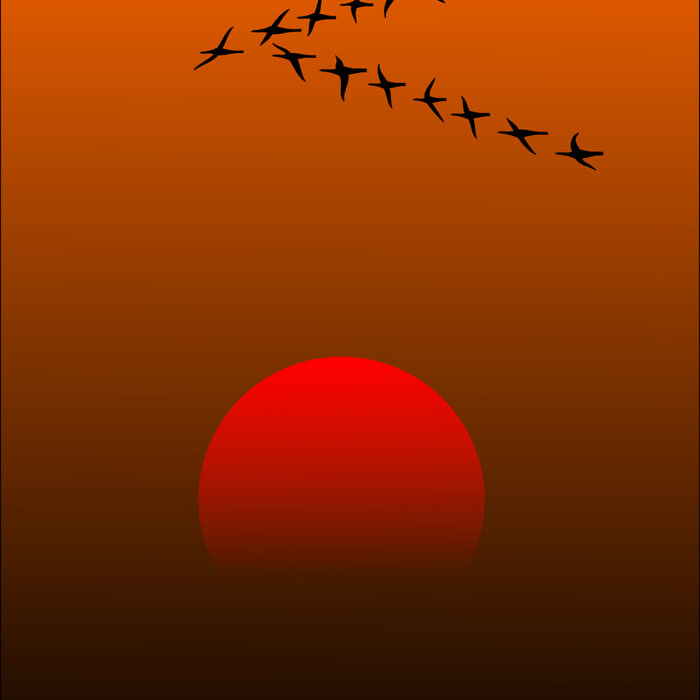 Stephen Walls | Stephen Walls