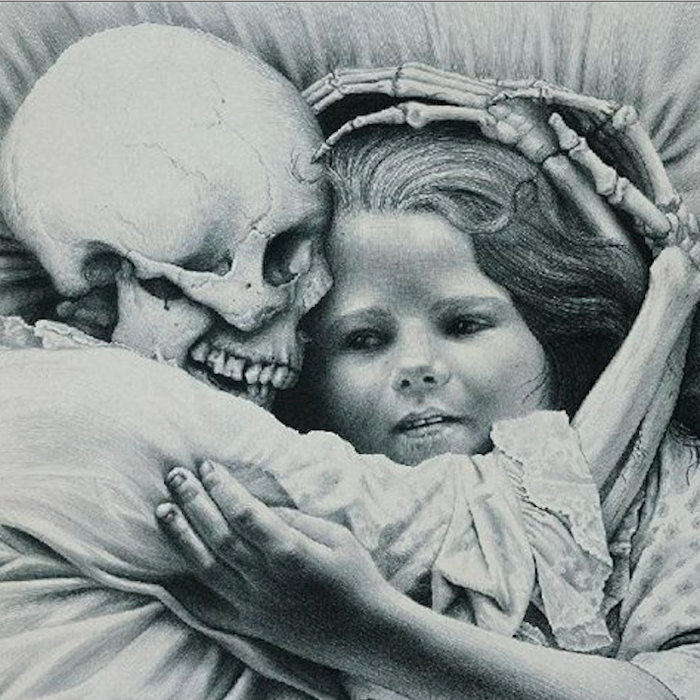 Optograms | Transitional Species