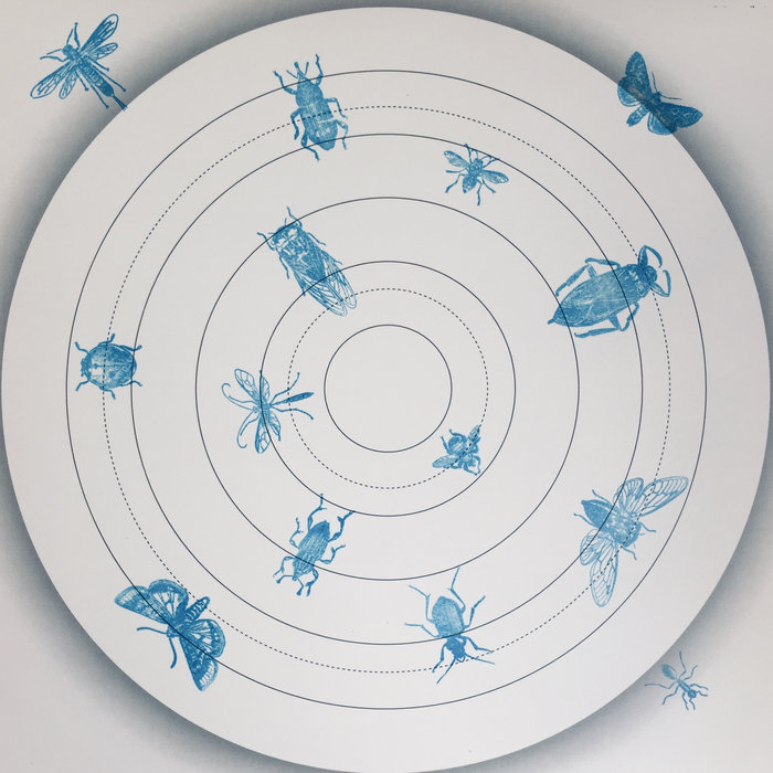 Insect Talk Remix | O Yuki Conjugate