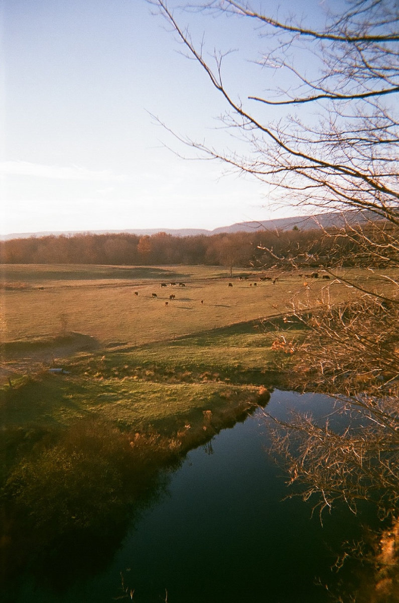 skippin rocks | honey thumb and bk68 | BK68