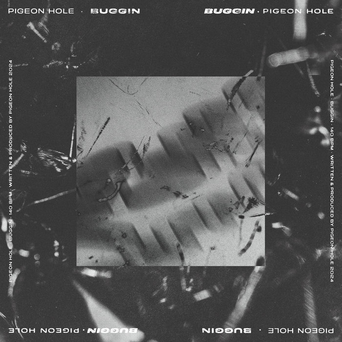 Buggin | Pigeon Hole