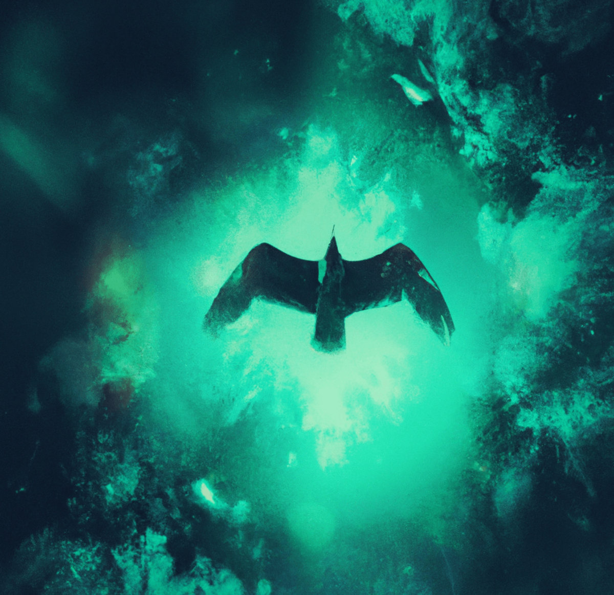 Zwazo Dans le Siel | Dragota