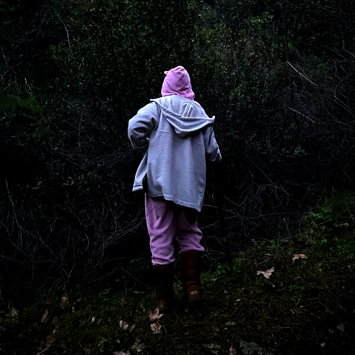 Wild Postures | Brother Dragon