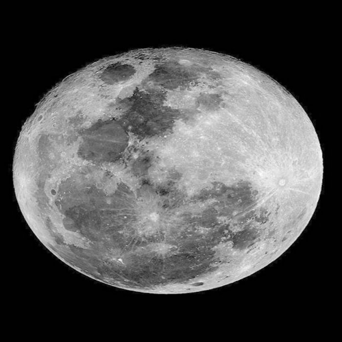 The Mozz | Archangel's Muse