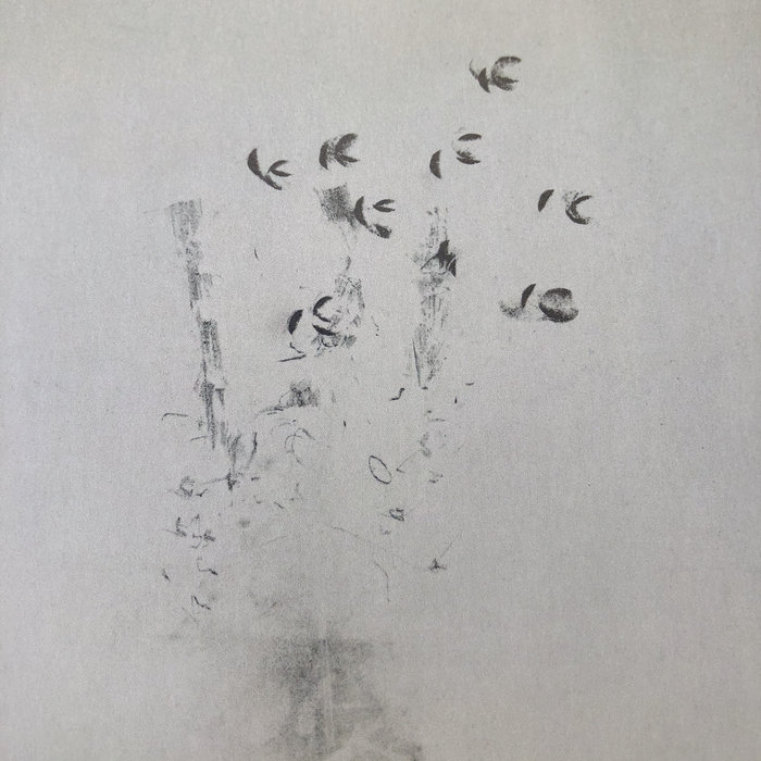 Skin Tones | Ken Ikeda, David Toop | Ken Ikeda