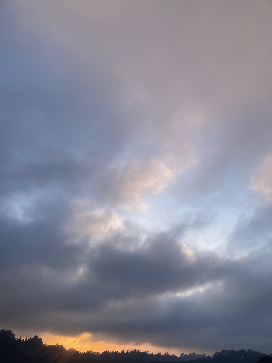 Annabel Lee | Anne Hege