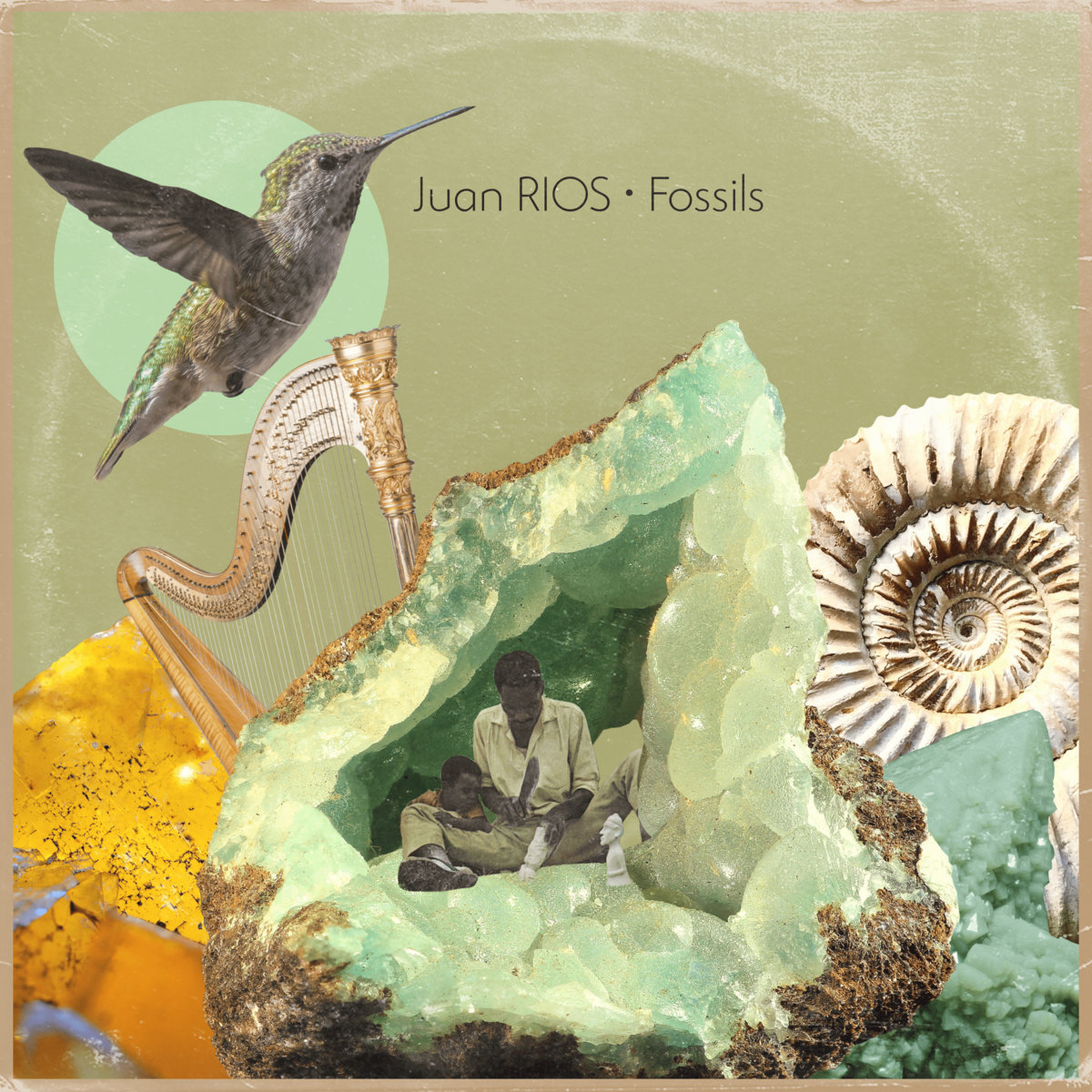 Fossils | Juan RIOS
